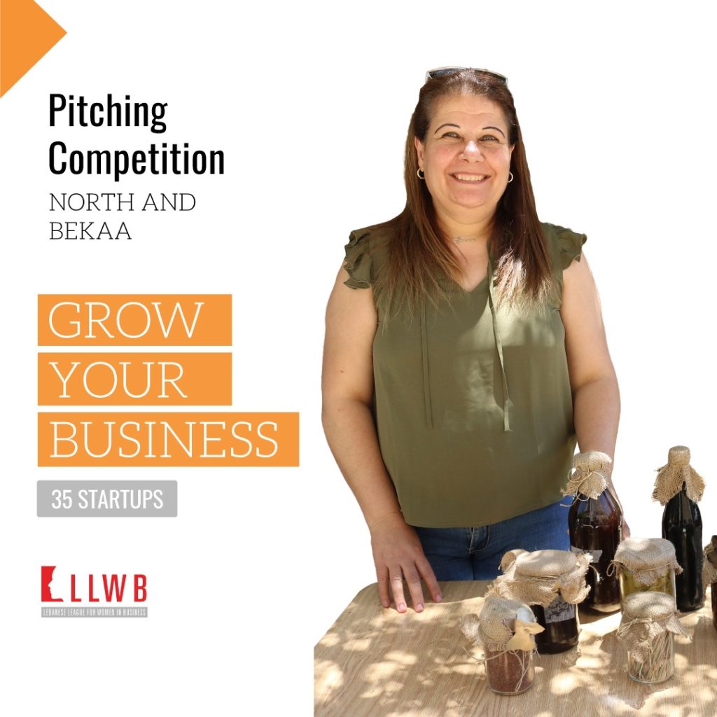 Pitching Competition | Women Entrepreneurs Program – LLWB